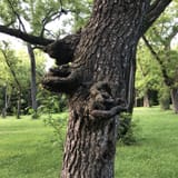 Walnut Grove Park Loop, Nebraska - 91 Reviews, Map | AllTrails