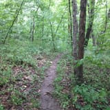 Perry Lake Hiking Trail, Kansas - 112 Reviews, Map | AllTrails