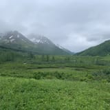 Johnson Pass, Alaska - 92 Reviews, Map | AllTrails