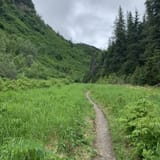 Johnson Pass, Alaska - 88 Reviews, Map | AllTrails