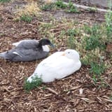 Steed Park Trail, Utah - 56 Reviews, Map | AllTrails