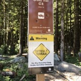 Reiter Hills OHV Loop, Washington - 74 Reviews, Map | AllTrails