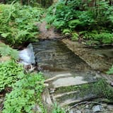 Upper Priest River Trail, Idaho - 86 Reviews, Map | AllTrails