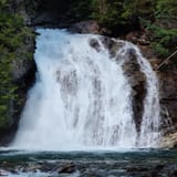 Upper Priest River Trail, Idaho - 86 Reviews, Map | AllTrails