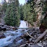 Upper Priest River Trail, Idaho - 86 Reviews, Map | AllTrails