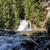 Upper Priest River Trail, Idaho - 86 Reviews, Map | AllTrails