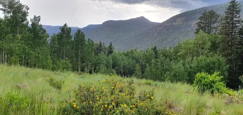 Best Off Road Driving Trails in Rio Grande National Forest, Divide ...