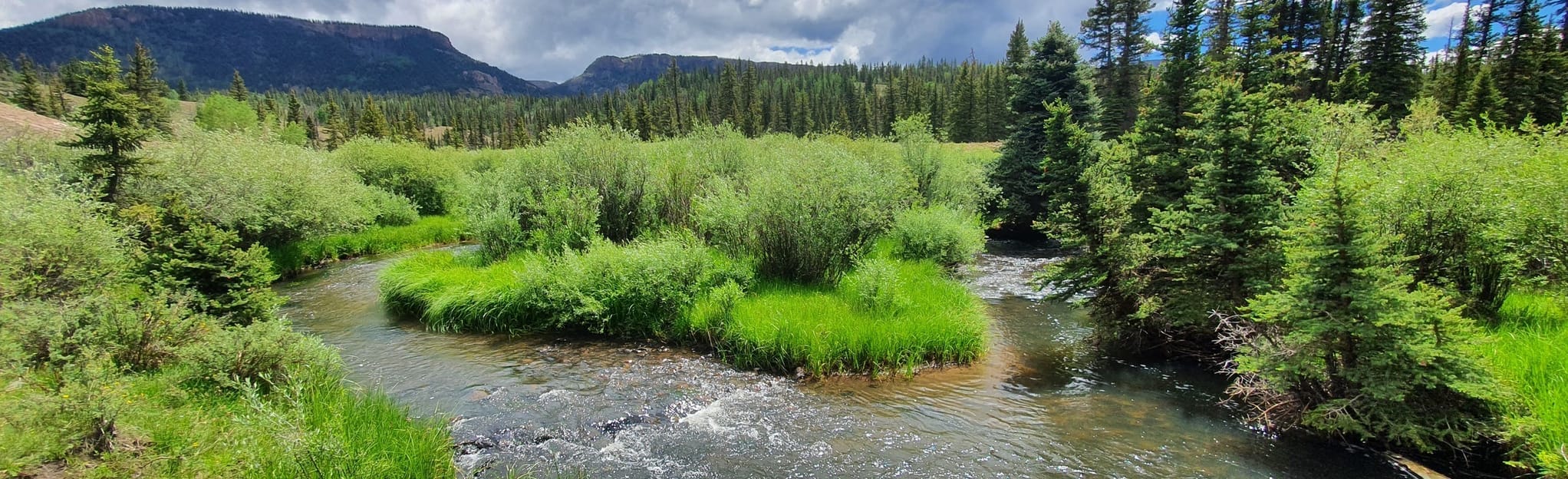 AllTrails | South Clear Creek Falls from Bristol Head Campground: 57 ...