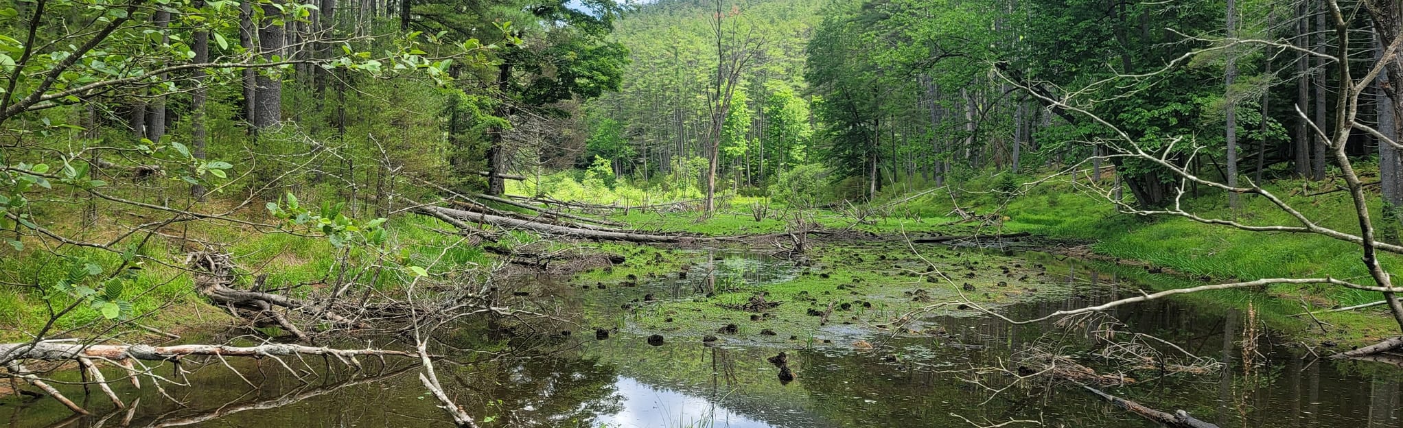 Northwest Bay of Lake George Trail | Map, Guide - New York | AllTrails