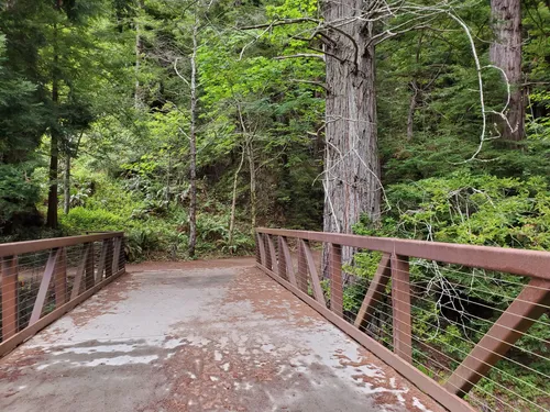 10 Best Hikes and Trails in Purisima Creek Redwoods Open Space Preserve ...