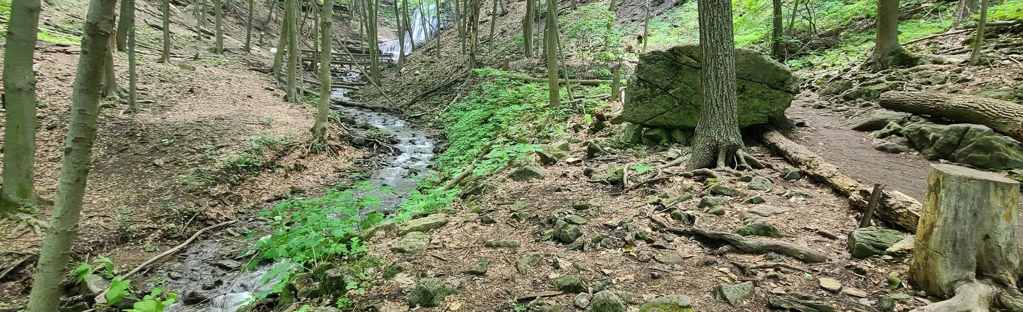 McMaster Forest - Monarch Trail - Bruce Trail: 52 Reviews, Map ...