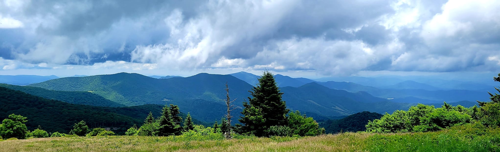 Grassy Ridge Bald via Appalachian Trail, Tennessee - 3,282 Reviews, Map ...