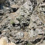 Big SEKI Loop, California - 31 Reviews, Map | AllTrails