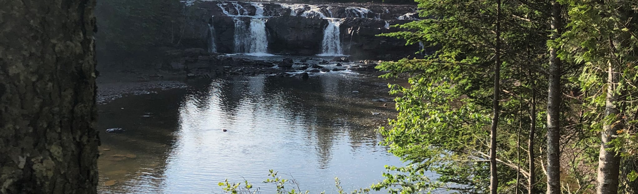 Lepreau Falls, New Brunswick, Canada - 31 Reviews, Map | AllTrails