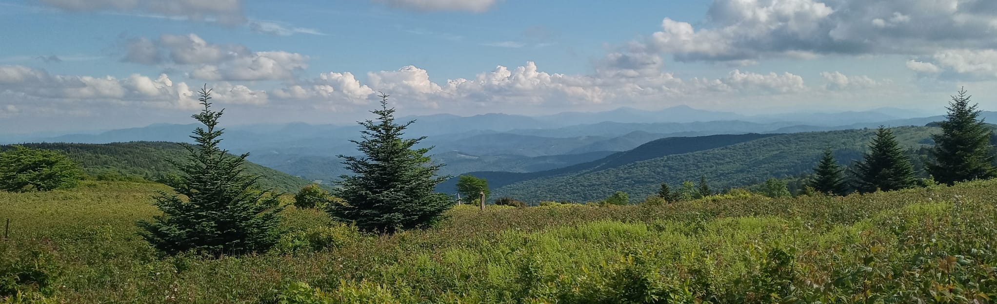 Appalachian Trail to Mount Rogers Trail: 40 Reviews, Map - Virginia ...