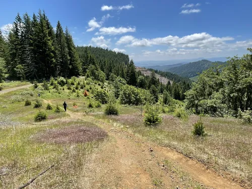 10 Best Trails and Hikes in Corvallis | AllTrails