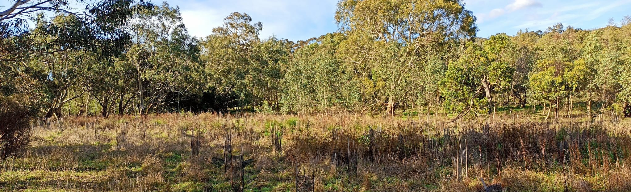 Gresswell Forest Loop: 272 Reviews, 310 Photos, Map - Victoria ...