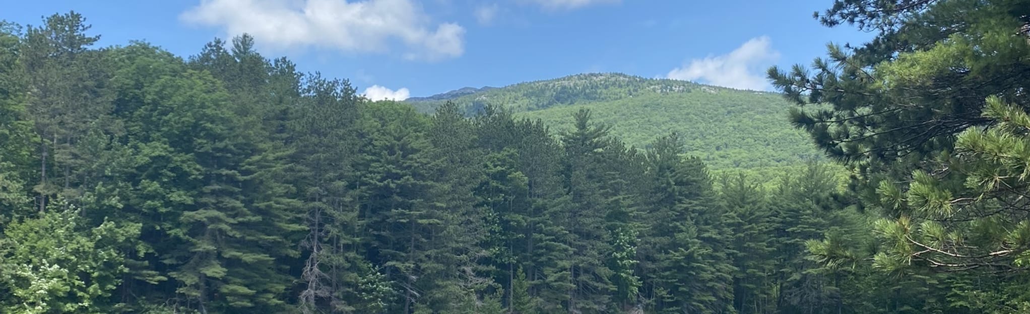 Mount Monadnock via Parker Trail and Cliff Walk: 148 Reviews, Map - New ...