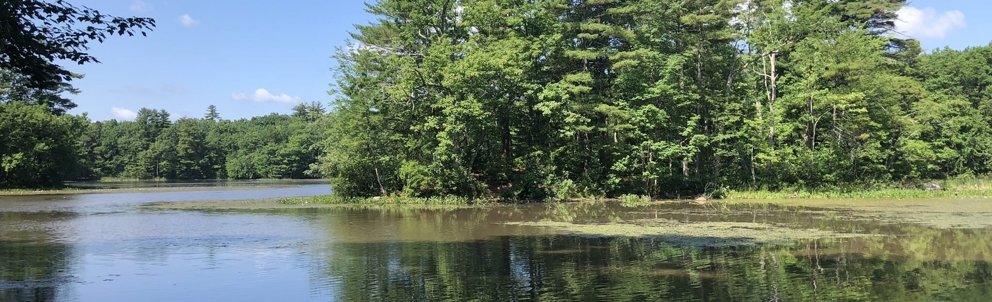 AllTrails | Dorrs Pond Loop: 514 Reviews, Map - New Hampshire