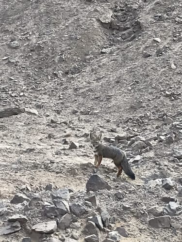 La Chimba National Reserve: as melhores trilhas com vista em 2023 ...