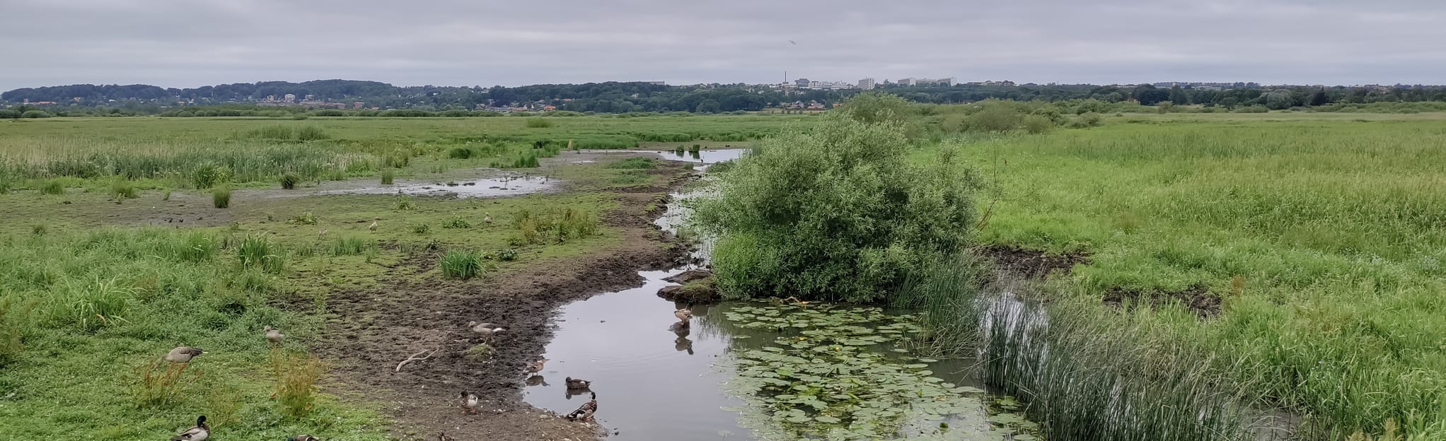 Lake Brabrand, Central Denmark, Denmark - 198 Reviews, Map | AllTrails