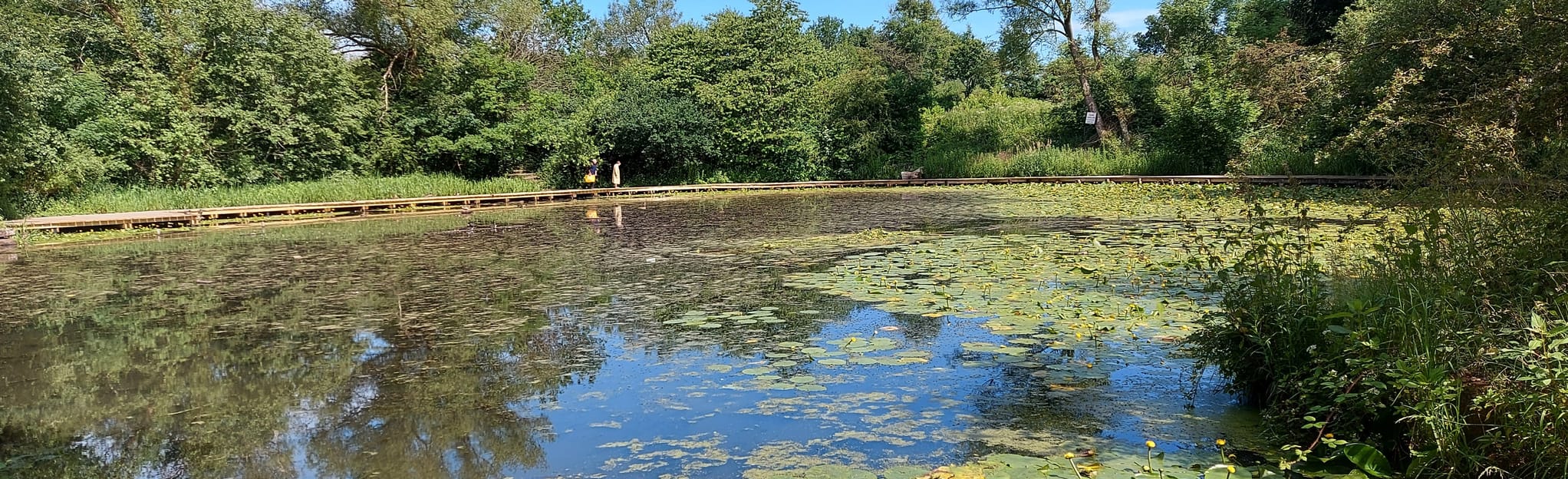 Daisy Nook Circular: 128 Reviews, Map - Greater Manchester, England ...