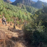 Mount Ayliff Trail, Eastern Cape, South Africa - 8 Reviews, Map | AllTrails