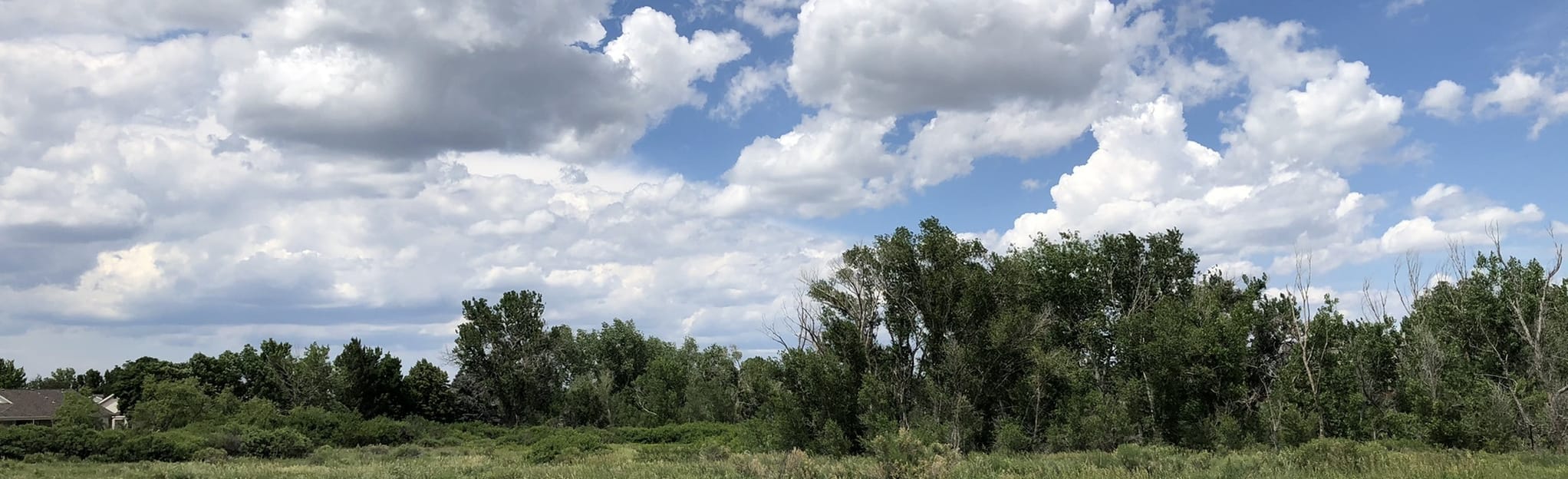 Cheese Ranch Trail Loop, Colorado - 62 Reviews, Map | AllTrails