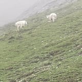 Mount Bogart, Alberta, Canada - 15 Reviews, Map | AllTrails