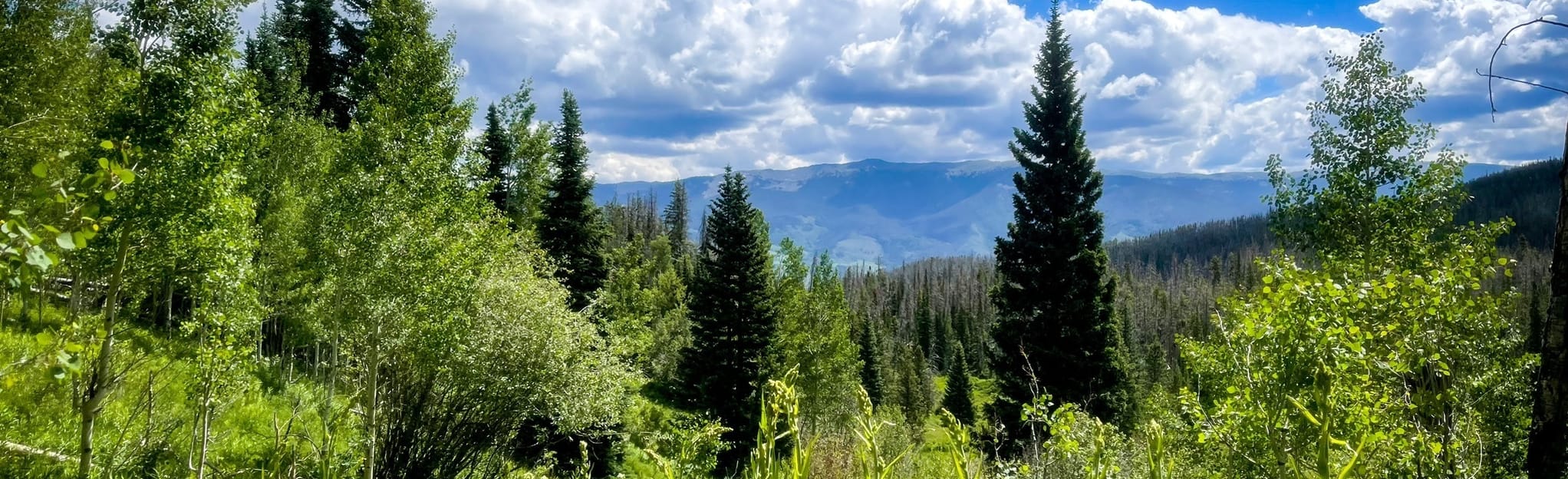 Boulder Lake via Gore Range and Rock Creek Trails, Colorado - 174 ...