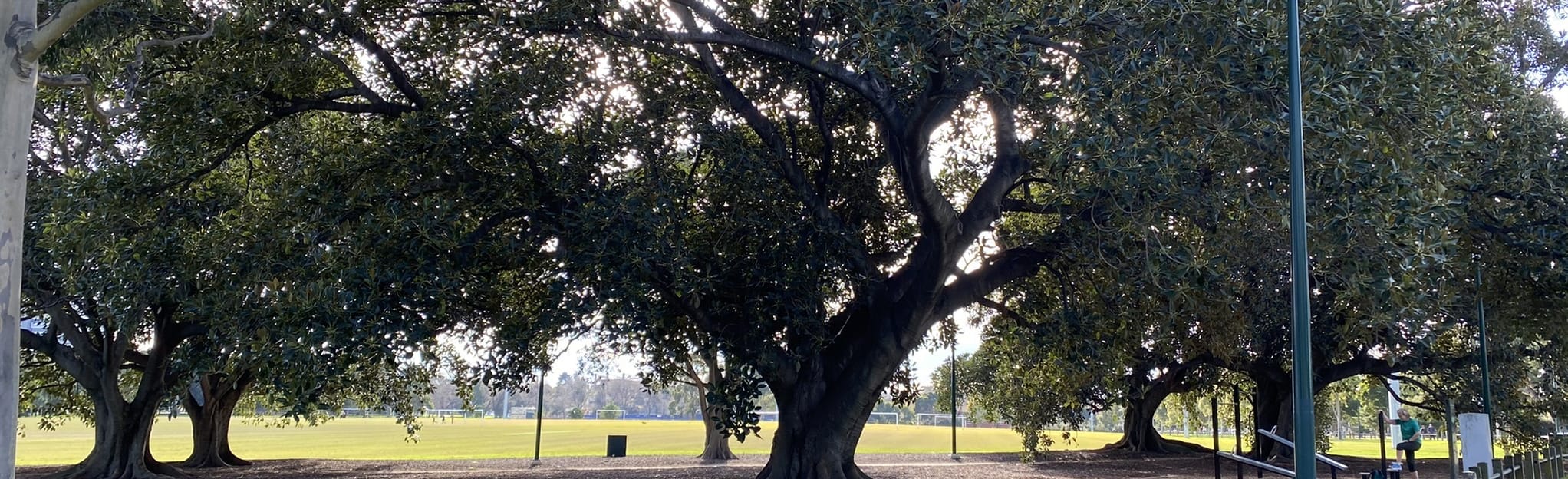 Princes Park Circular, Victoria, Australia - 161 Reviews, Map | AllTrails