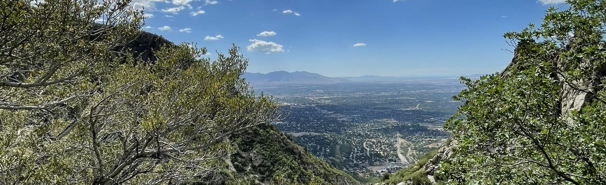 Ferguson Canyon View Point: 1598 Reviews, Map - Utah | AllTrails