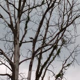 Galien River Paddle Route: Glassman Park to New Buffalo City Park ...