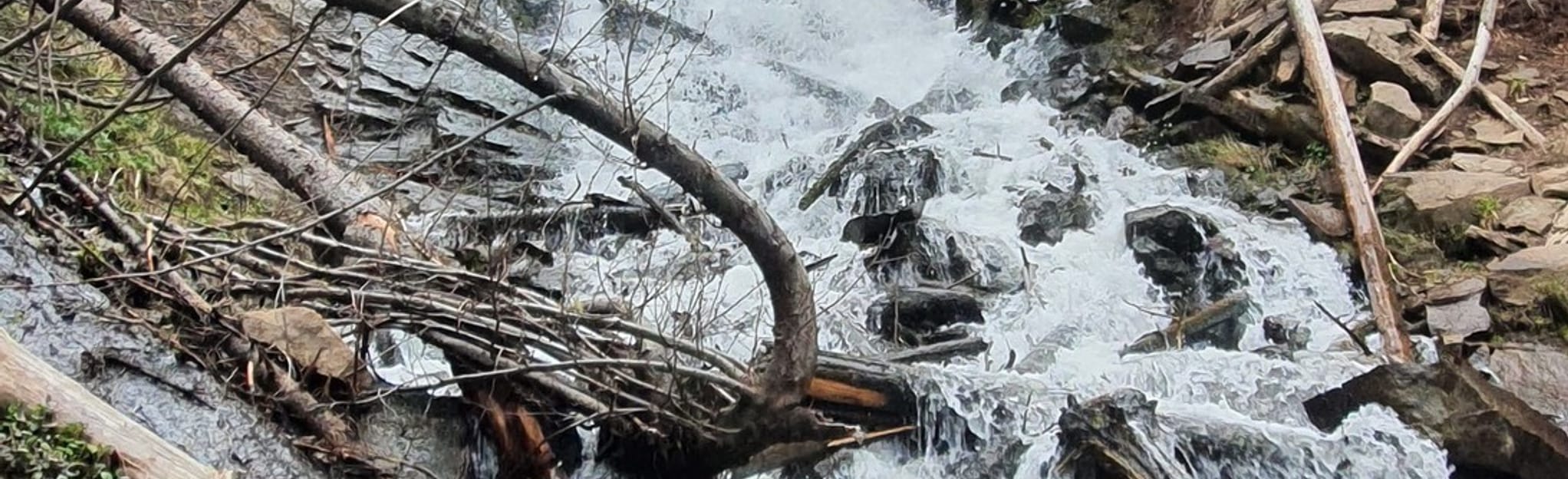 Cascade Falls, Colorado - 43 Reviews, Map | AllTrails