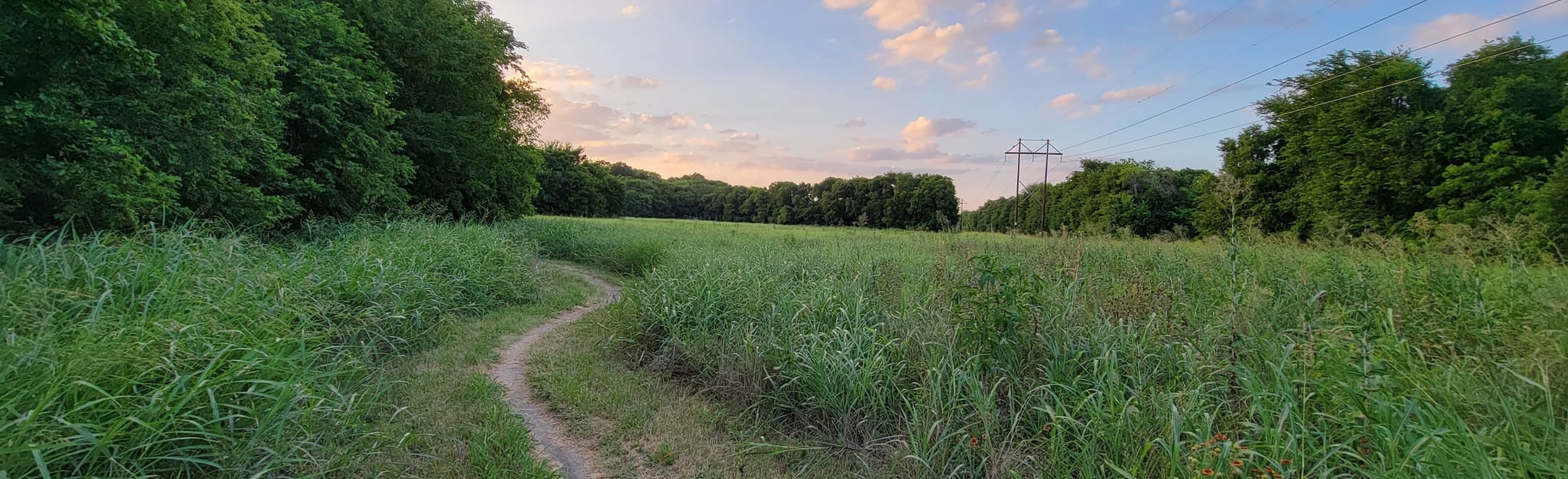 Rowlett Creek Short Loop, Texas - 691 Reviews, Map | AllTrails