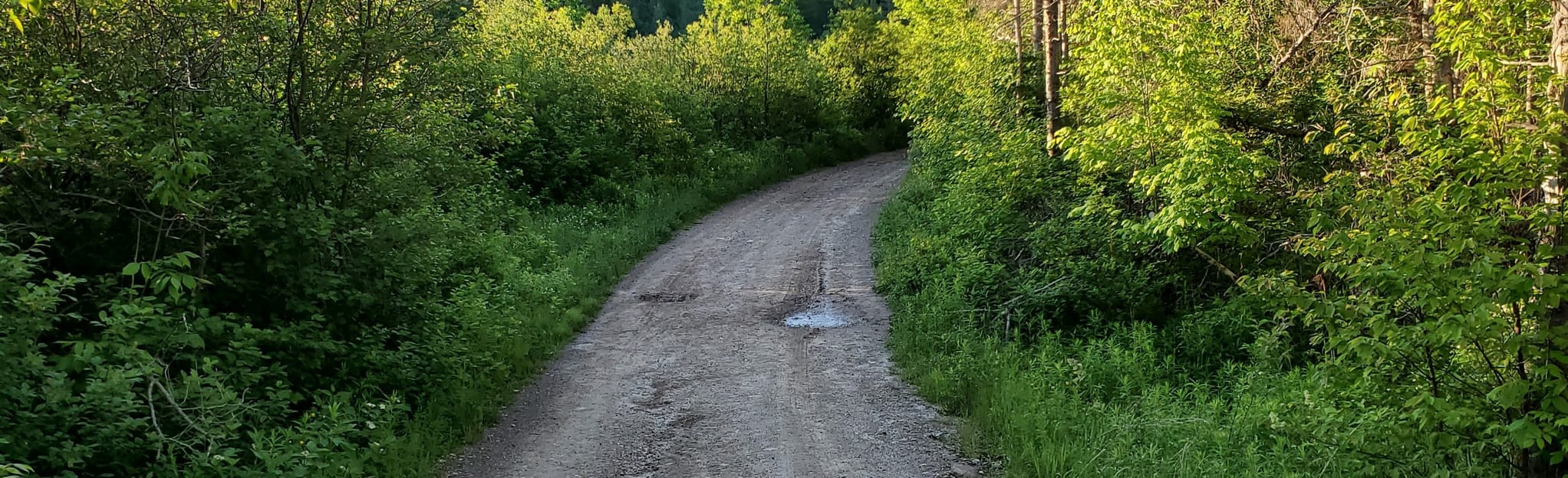 Grand Étang via Acadian Trail, Nova Scotia, Canada - 9 Reviews, Map ...
