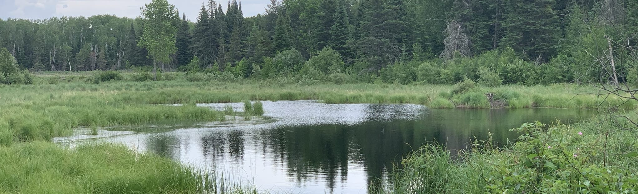 Lake George Trail, Manitoba, Canada - Map, Guide | AllTrails