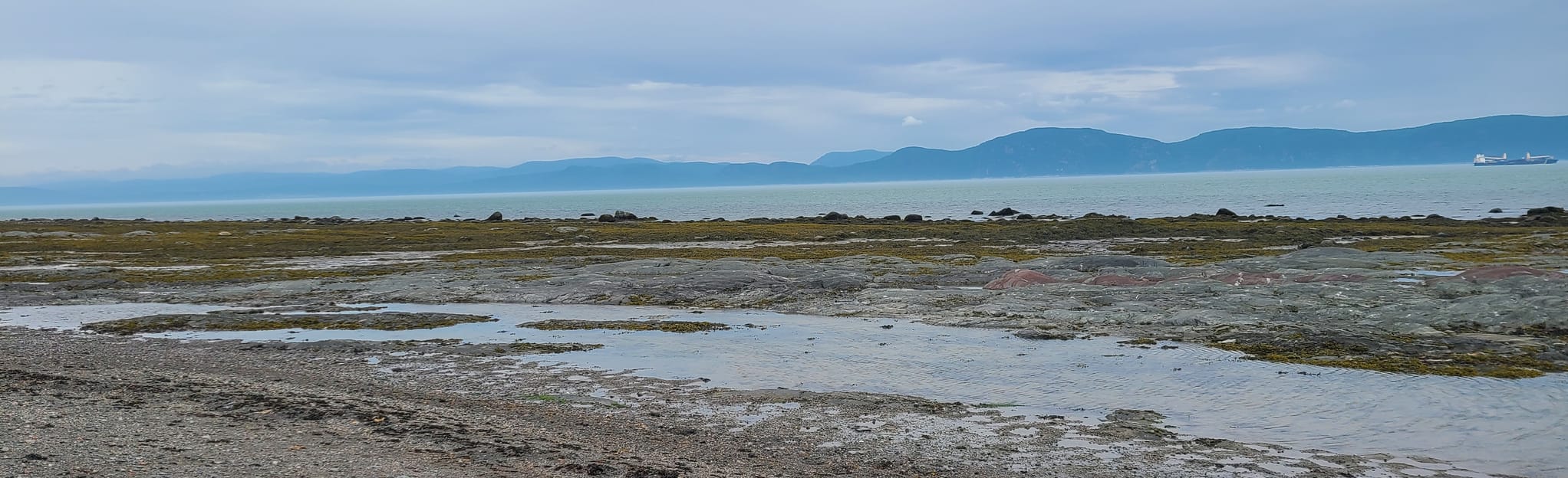 Sentier de la Mer de l'Île-aux-Lièvres - Quebec, Canada | AllTrails