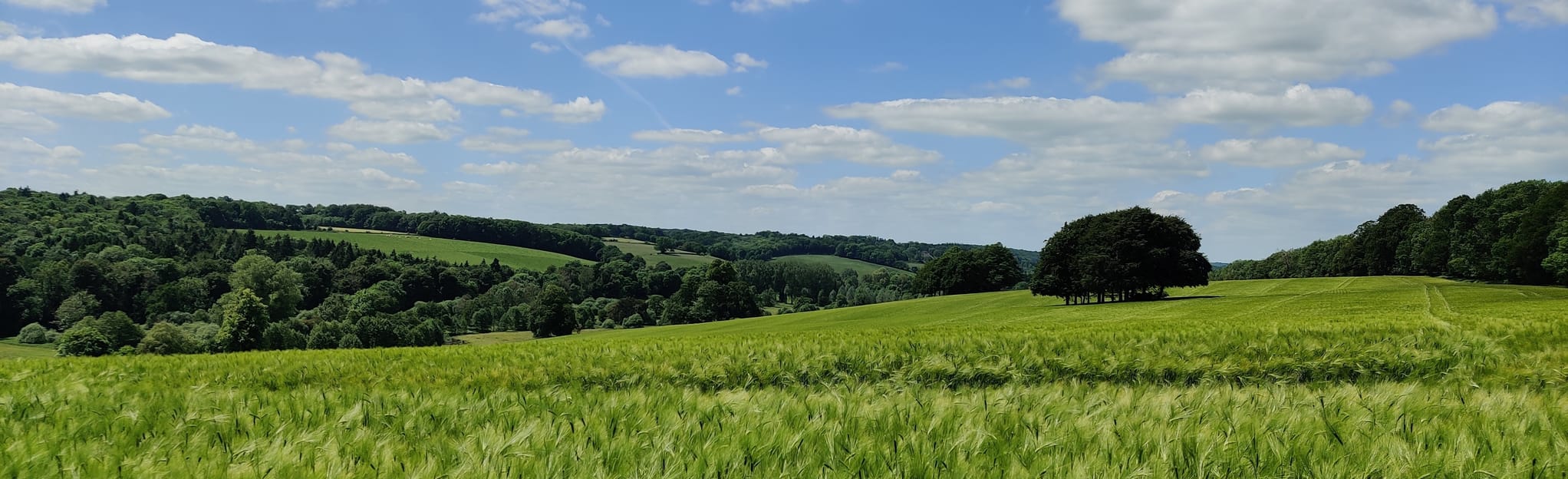 Amersham Chess Valley Circular, Buckinghamshire, England - 58 Reviews ...