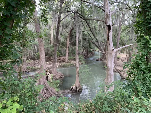 Best Hikes and Trails in Castroville Regional Park | AllTrails