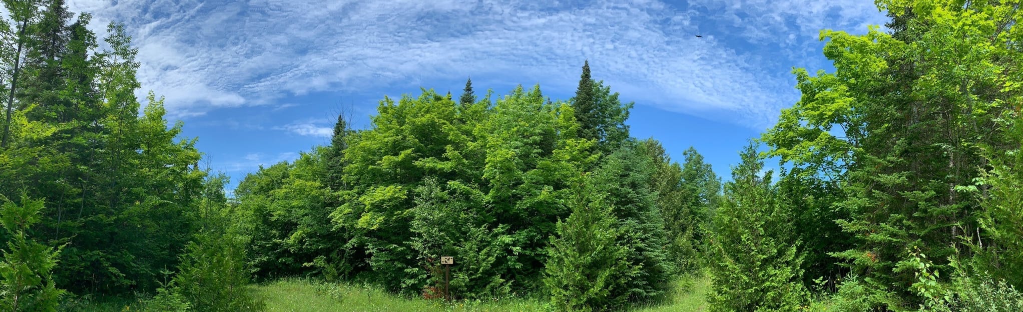 Gros Cap Loop: 76 Reviews, Map - Michigan | AllTrails