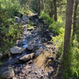 Storm Pass Trail, Colorado - 164 Reviews, Map | AllTrails