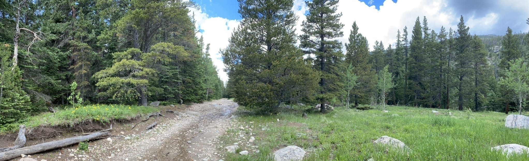 Buchanan Pass and Camp Dick Trail: 195 Reviews, Map - Colorado | AllTrails