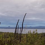 Cooloola Great Walk: Segment 1, Queensland, Australia - 156 Reviews ...