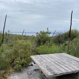 Cooloola Great Walk: Segment 1, Queensland, Australia - 156 Reviews ...