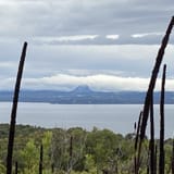 Cooloola Great Walk: Segment 1, Queensland, Australia - 156 Reviews ...