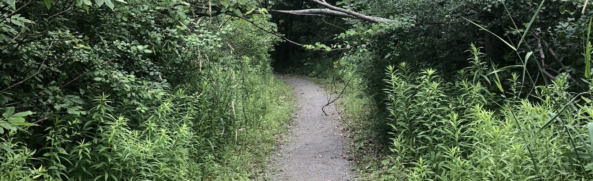Hunters Creek Trail: 6 Reviews, Map - Ontario, Canada | AllTrails