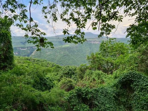10 Best Views Trails in Area Protegida Barranca de Huentitán | AllTrails
