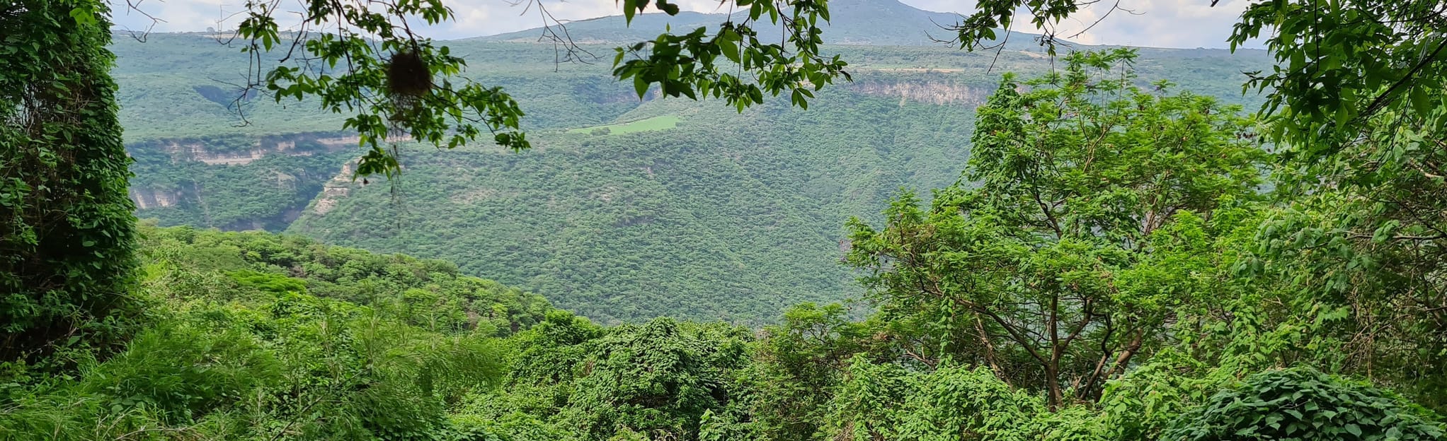 Las Pilitas vía Barranca de Huentitlán: 197 fotos - Jalisco, México ...