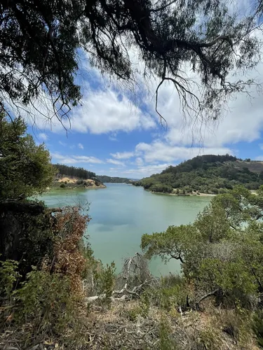 10 Best Hikes and Trails in Lake Chabot Regional Park | AllTrails